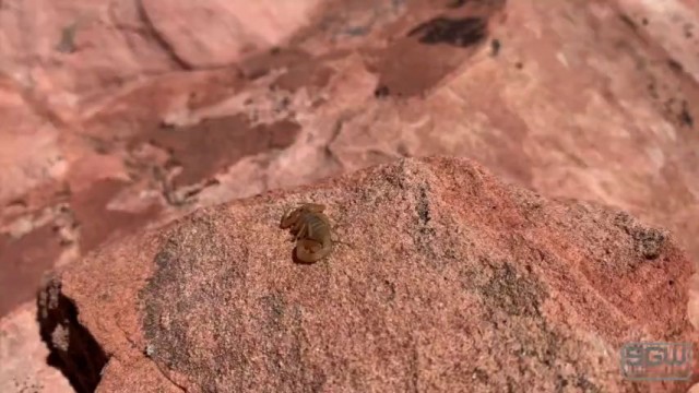 Hiking A Hot Sex Near The Gra Canyon Sex Ofoulestea